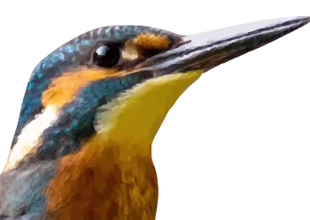 Image to SVG batch converter | Online Free