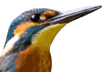 PNG轉SVG批量轉換器 | 線上 免費