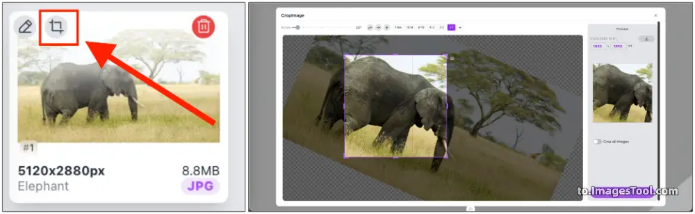 JPEG转SVG批量转换器 | 线上 免费